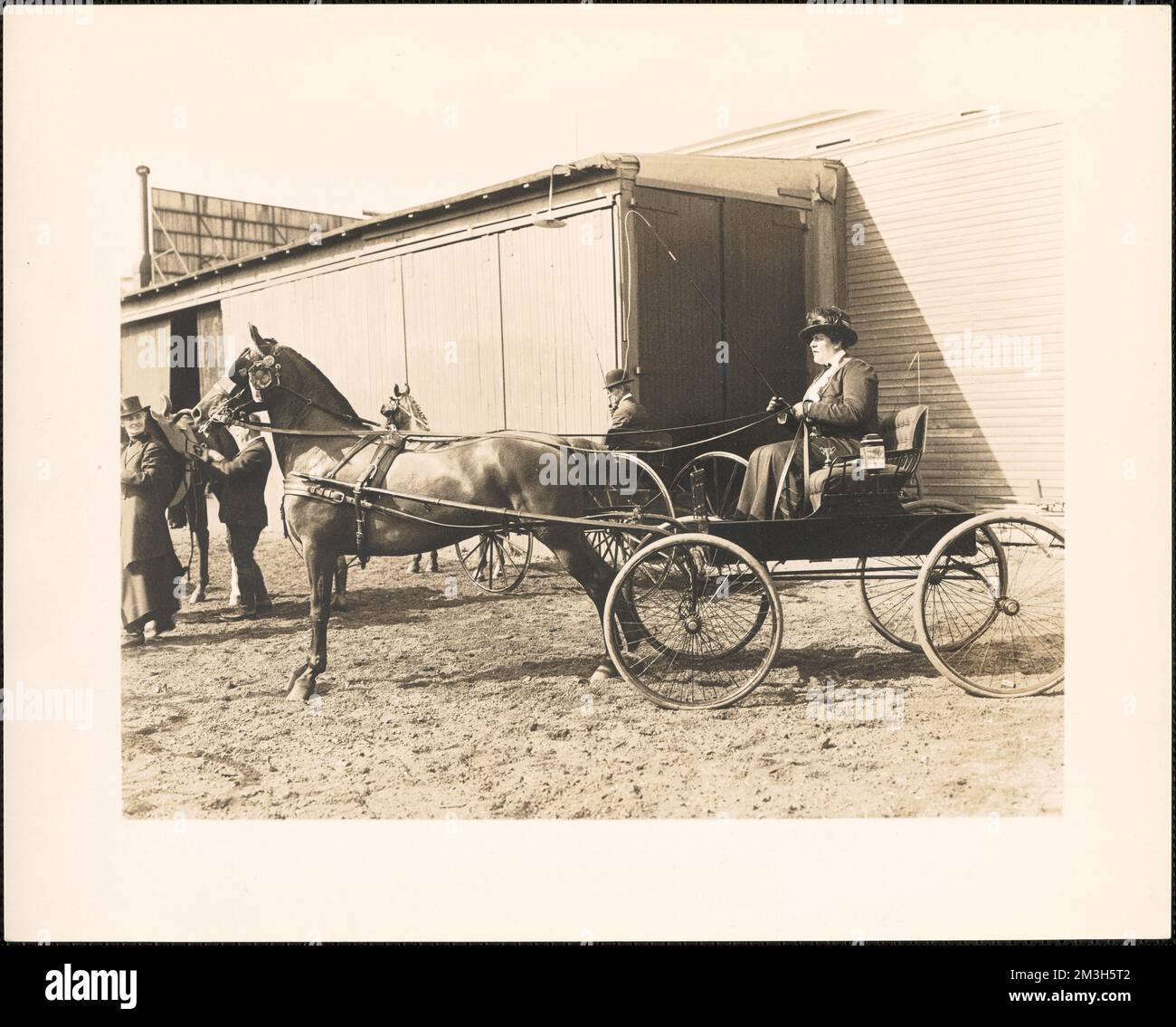 Miss Alice Sargent in Larz Anderson horse and buggy, Miss Dorothy ...