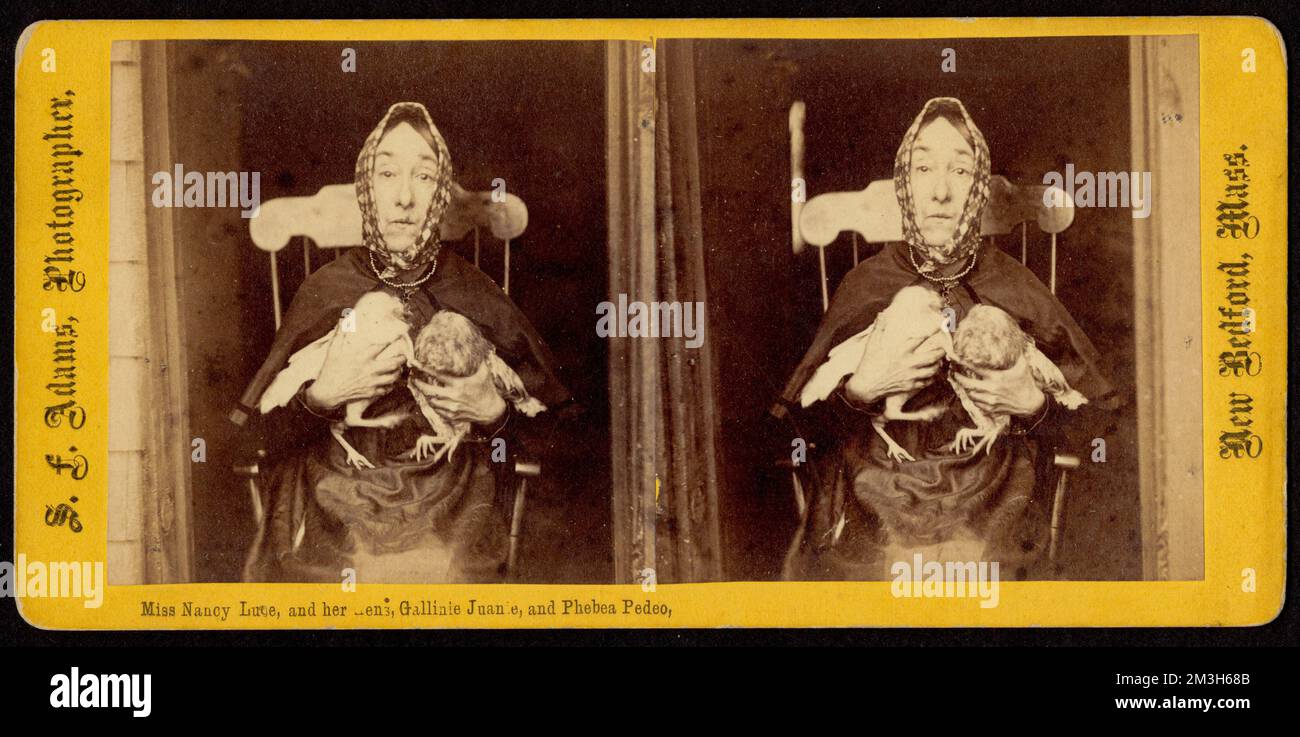 Nancy luce hi-res stock photography and images - Alamy