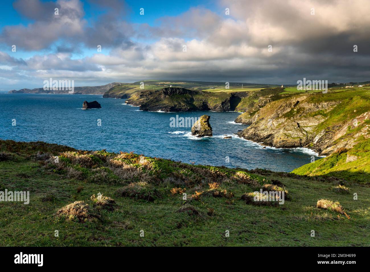 Trevalga cornwall hi-res stock photography and images - Alamy