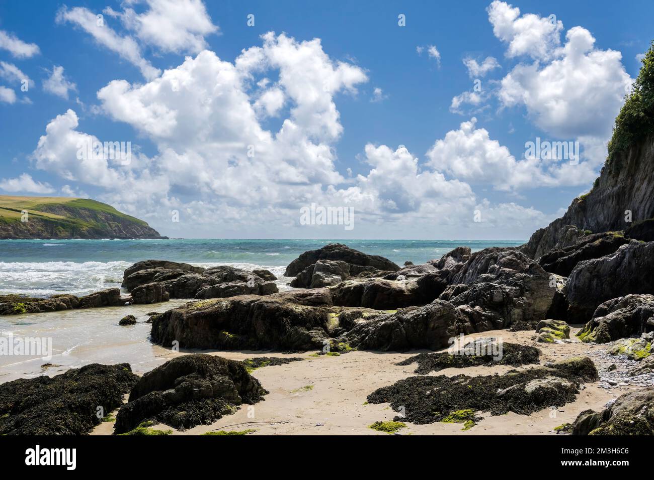 Mothecome hi-res stock photography and images - Alamy