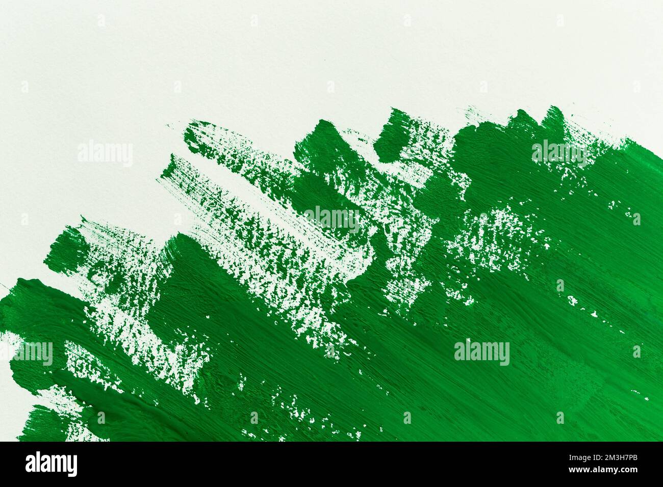 abstract green paint brush strokes watercolor background on white paper ...