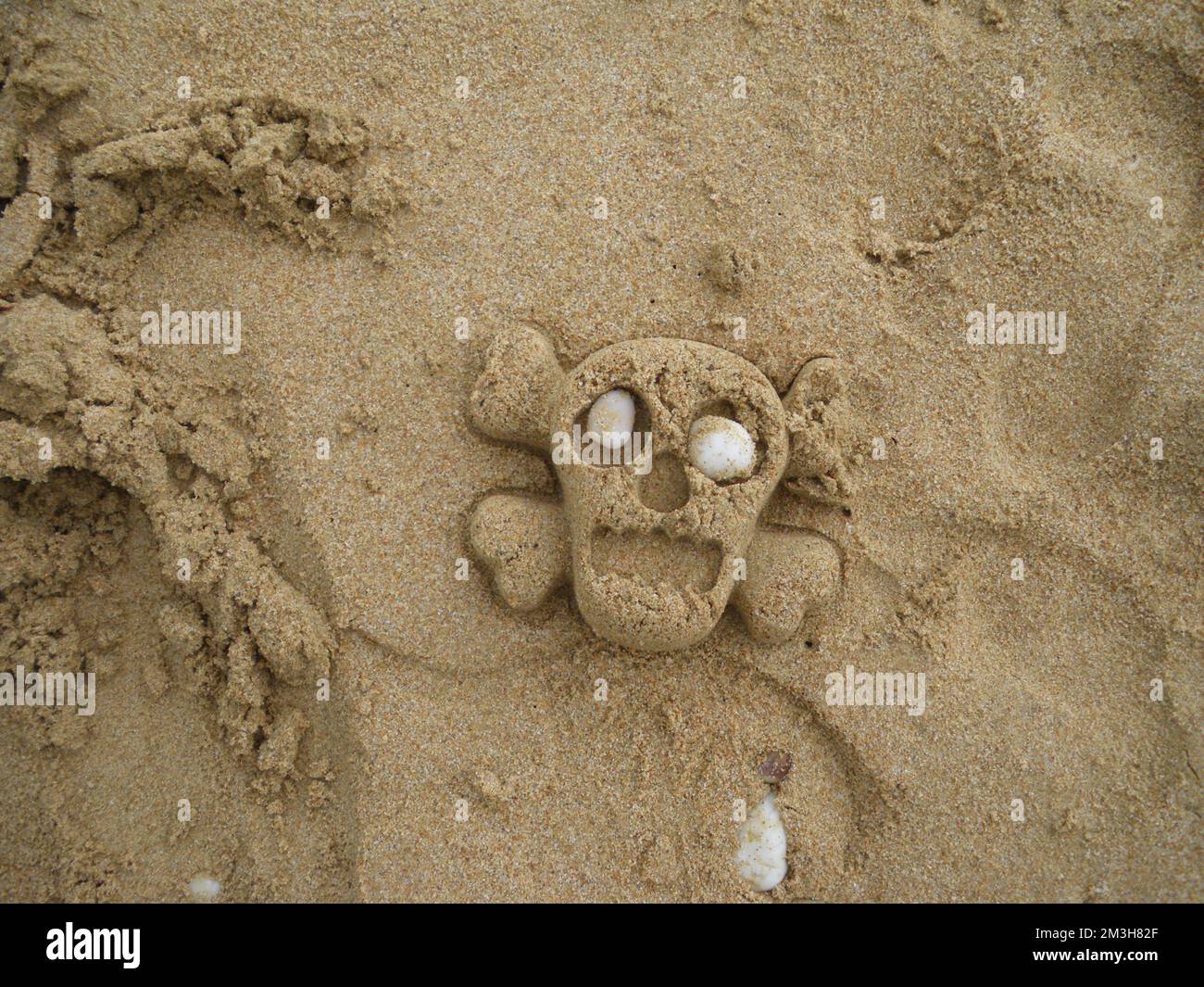 A human skull made of sand on a beach Stock Photo - Alamy