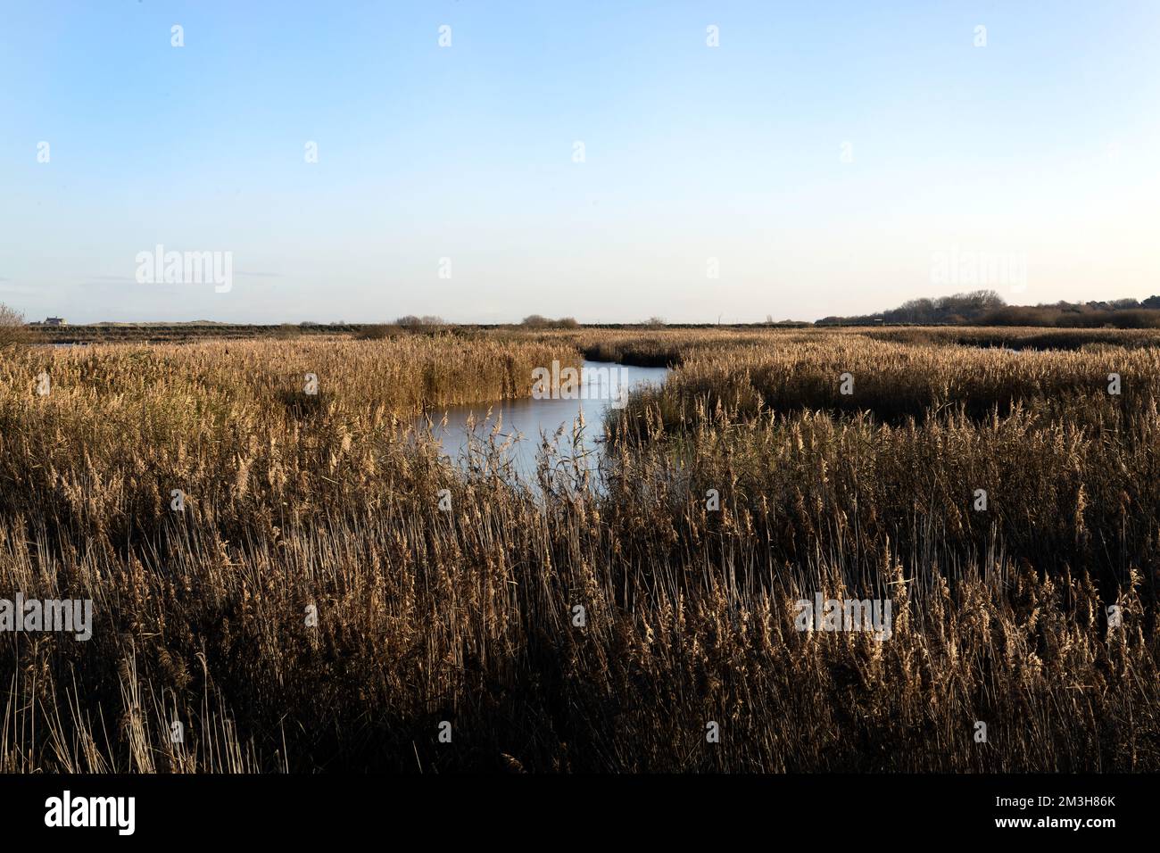 A winter scene at Titchwell marsh, Norfolk, England Stock Photo - Alamy