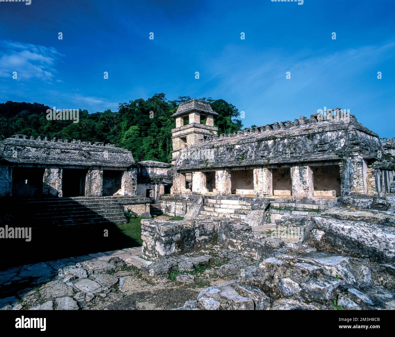 Archeological site of Palenque,mayan culture,Chiapas,Mesico Stock Photo ...