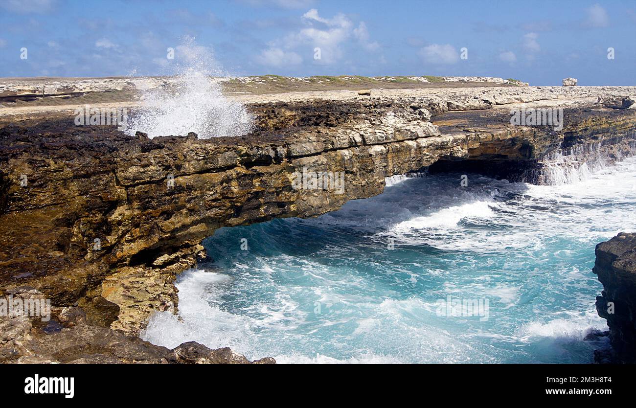 Rock Arch Devil's Bridge, East Coast, Antigua Barbuda Stock Photo - Alamy