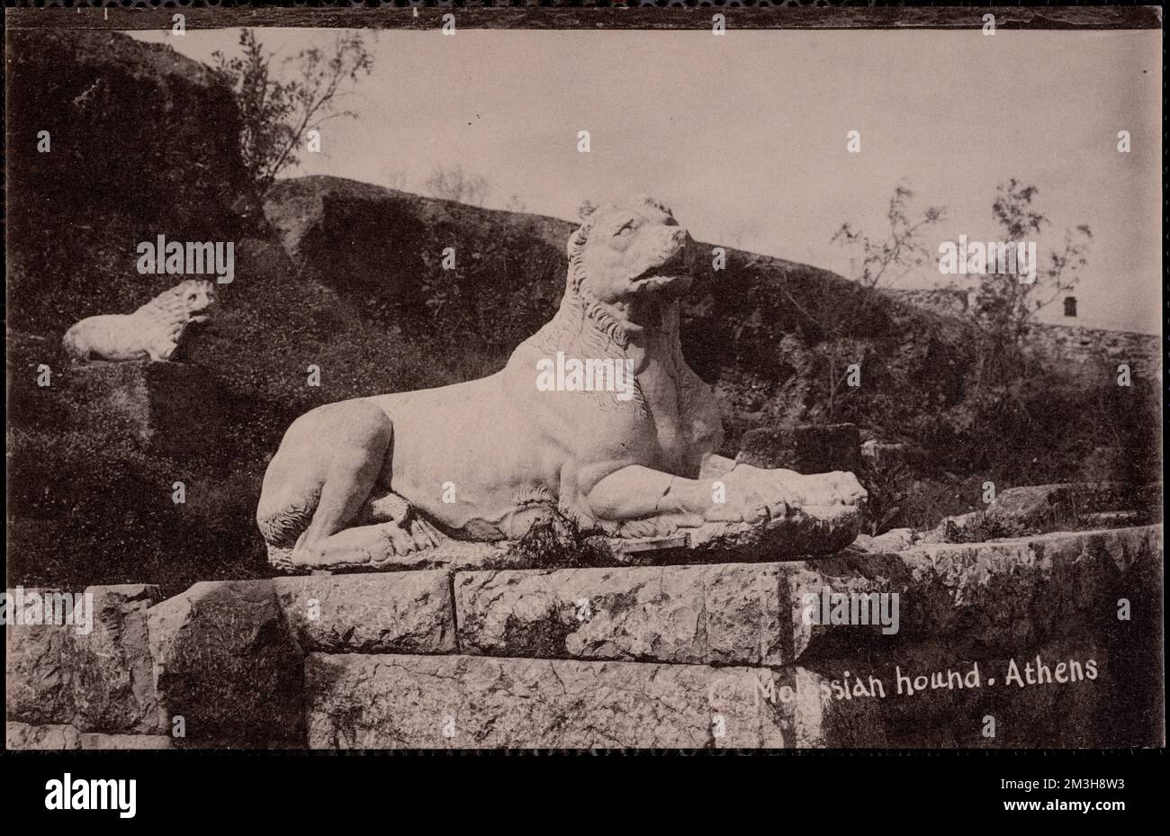 Molossian hound. Athens , Archaeological sites, Dogs, Sculpture ...