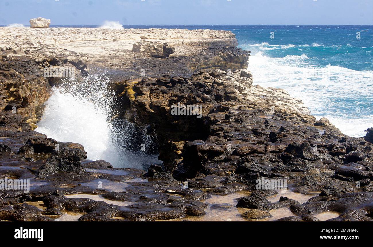 Rock Arch Devil's Bridge, East Coast, Antigua Barbuda Stock Photo - Alamy