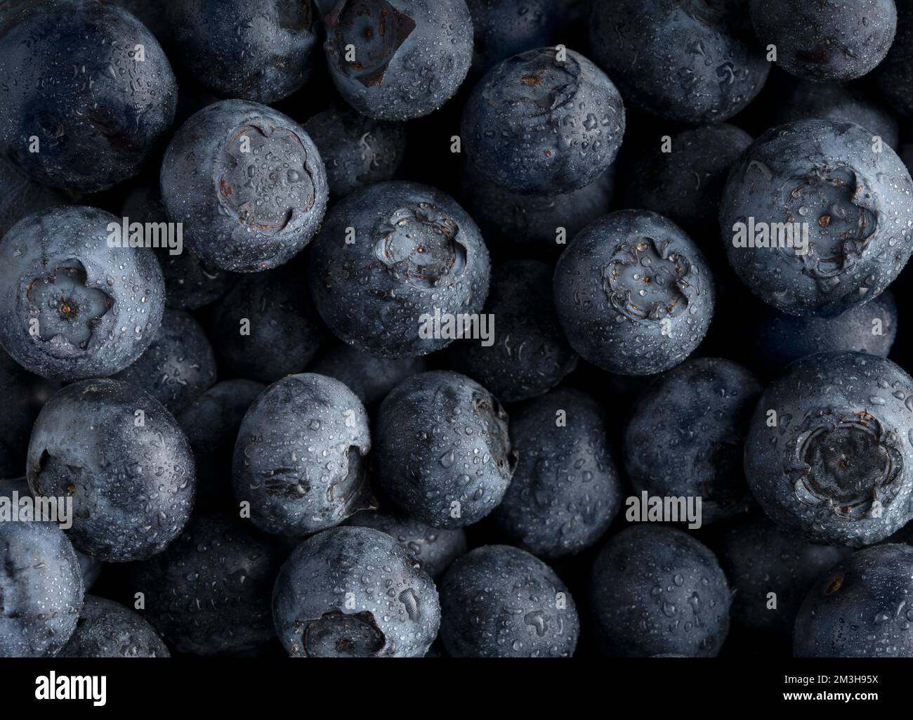 Beautiful background with fresh blueberries Stock Photo - Alamy
