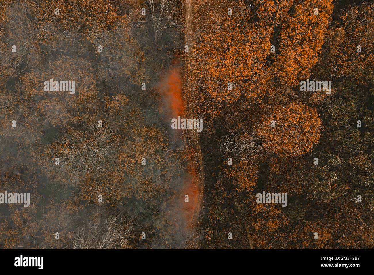 Drone shot smoke from forest hi-res stock photography and images - Alamy