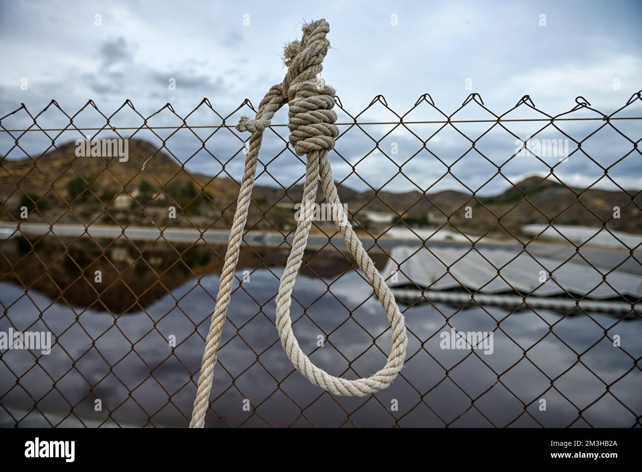 Hemp rope noose for homicide or suicide concept Stock Photo - Alamy