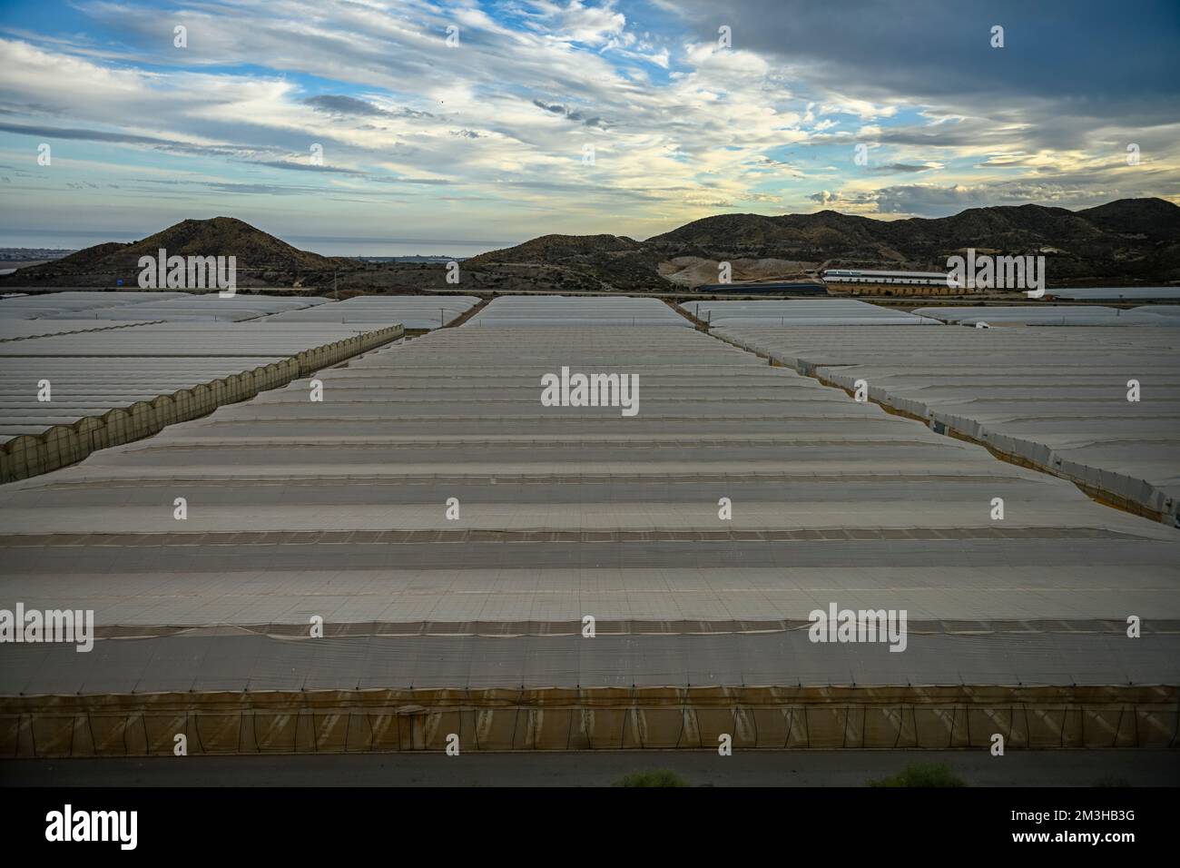 Aerial view of large fields of greenhouses, cultivation of vegetables ...