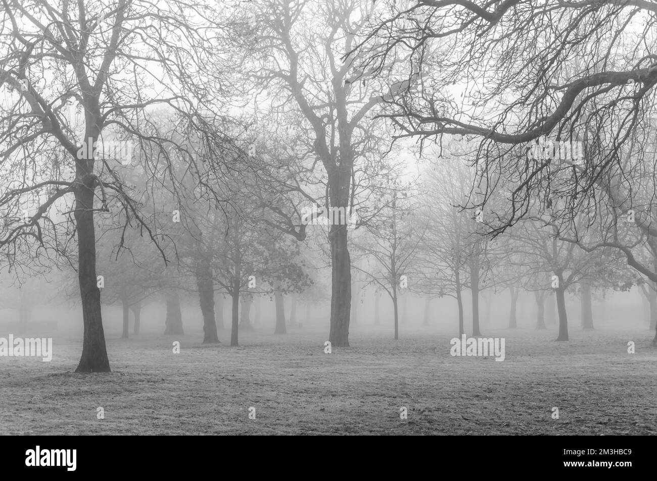 Thick fog in the early morning as people walking, jogger run in London ...