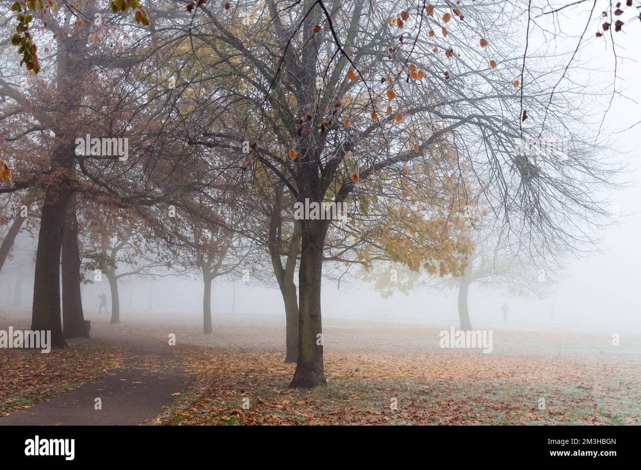Thick fog in the early morning as people walking, jogger run in London ...