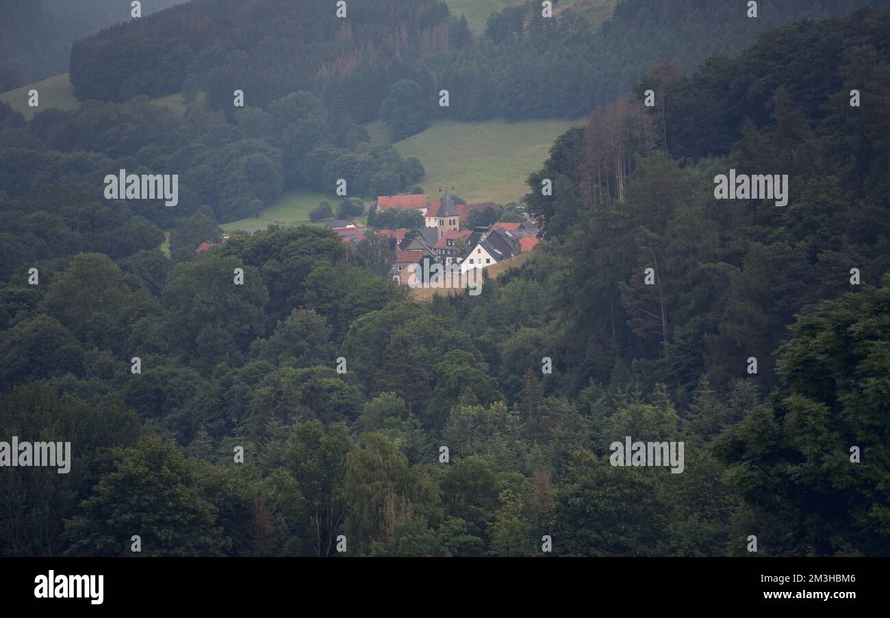 An aerial view of a small village in the middle of a deciduous forest ...