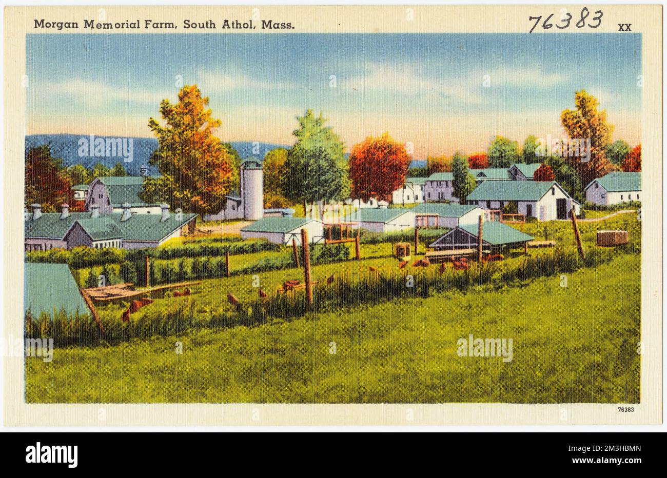 Morgan Memorial Farm, South Athol, Mass. , Farms, Tichnor Brothers ...