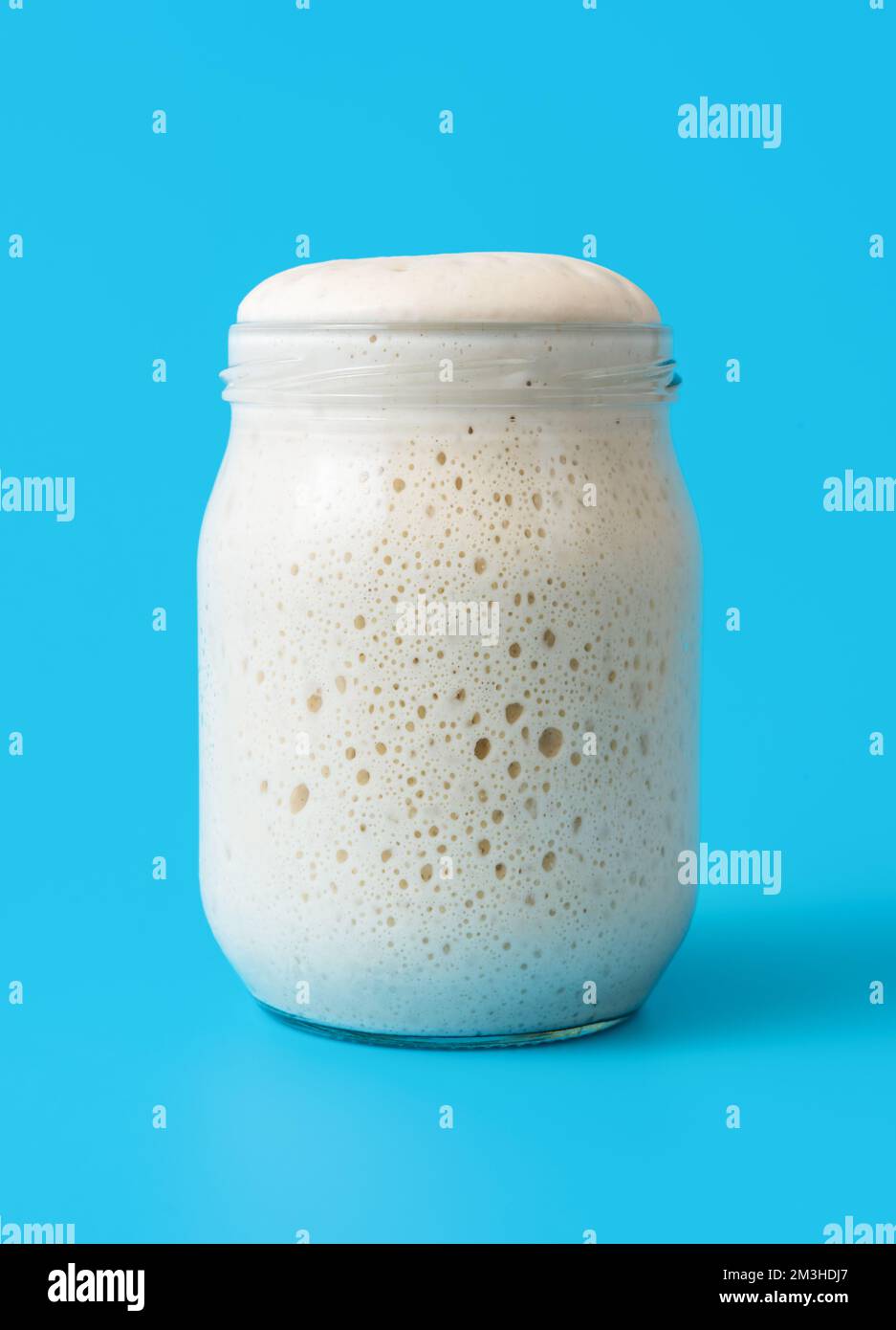 Glass jar full of sourdough starter, minimalist on a blue background ...