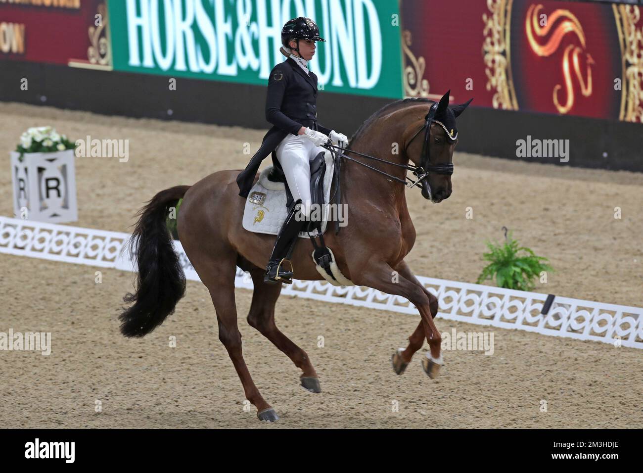 ExCel Centre, London, UK. 15th Dec, 2022. 2022 International Horse of ...