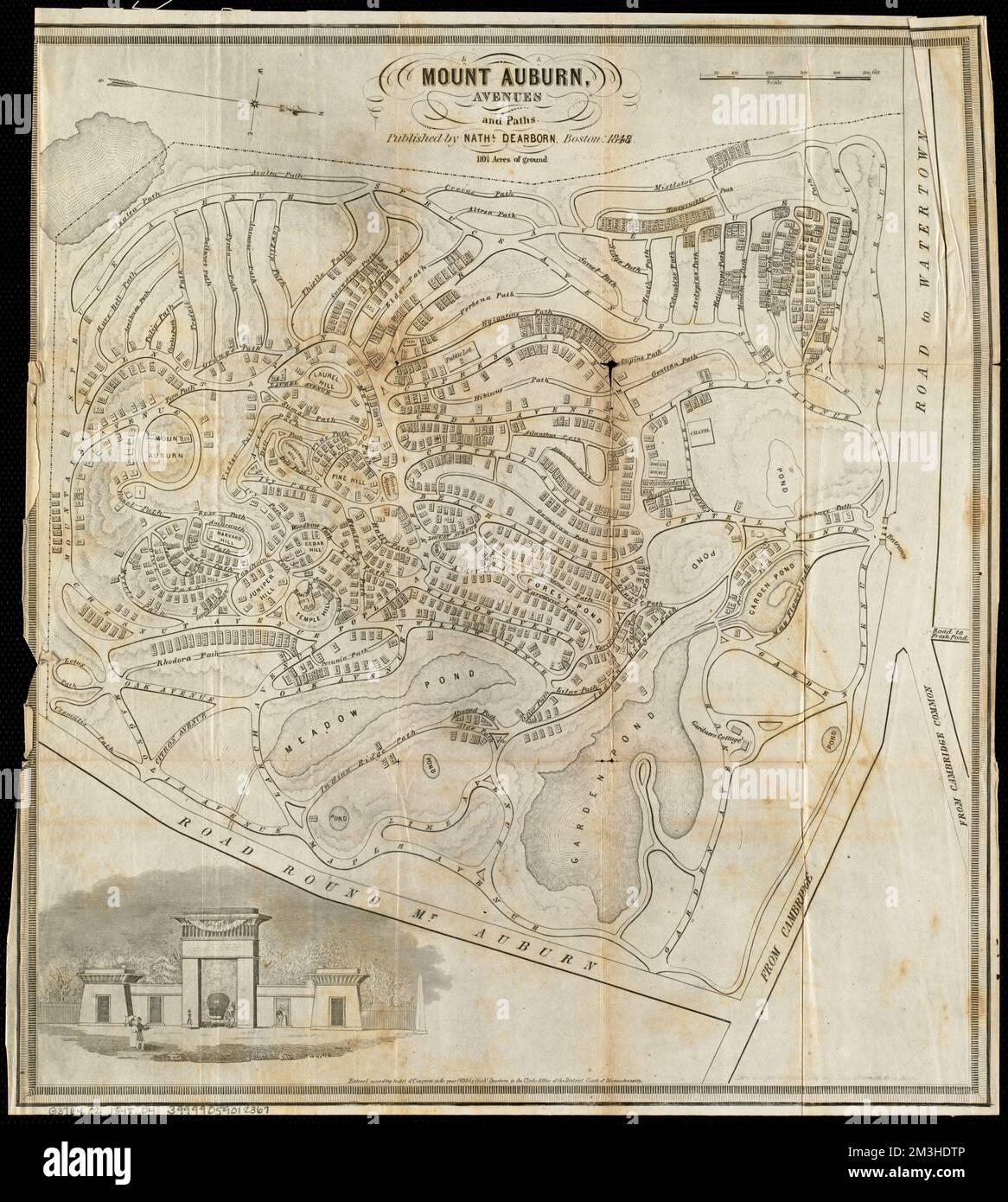 Mount Auburn, avenues and paths , Mount Auburn Cemetery Watertown and ...