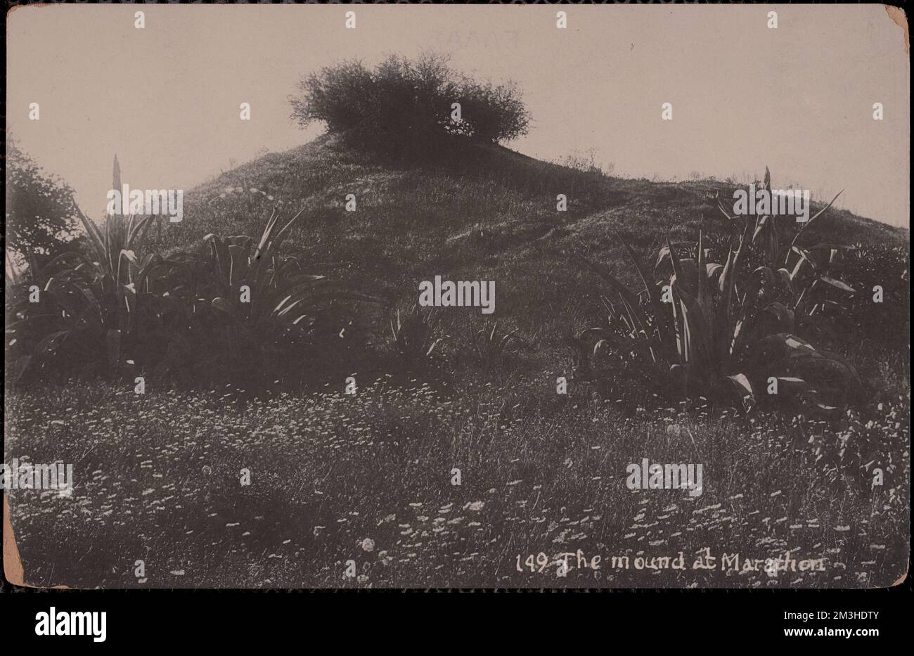 The mound at Marathon , Mounds Burials. Nicholas Catsimpoolas ...