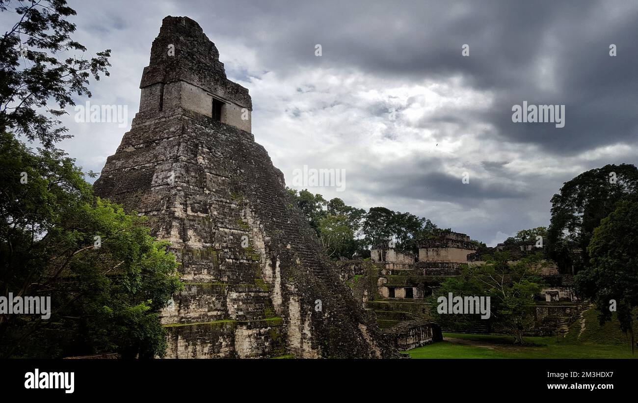 A beautiful shot of an ancient stone pyramid in Tikal, Guatemala Stock ...