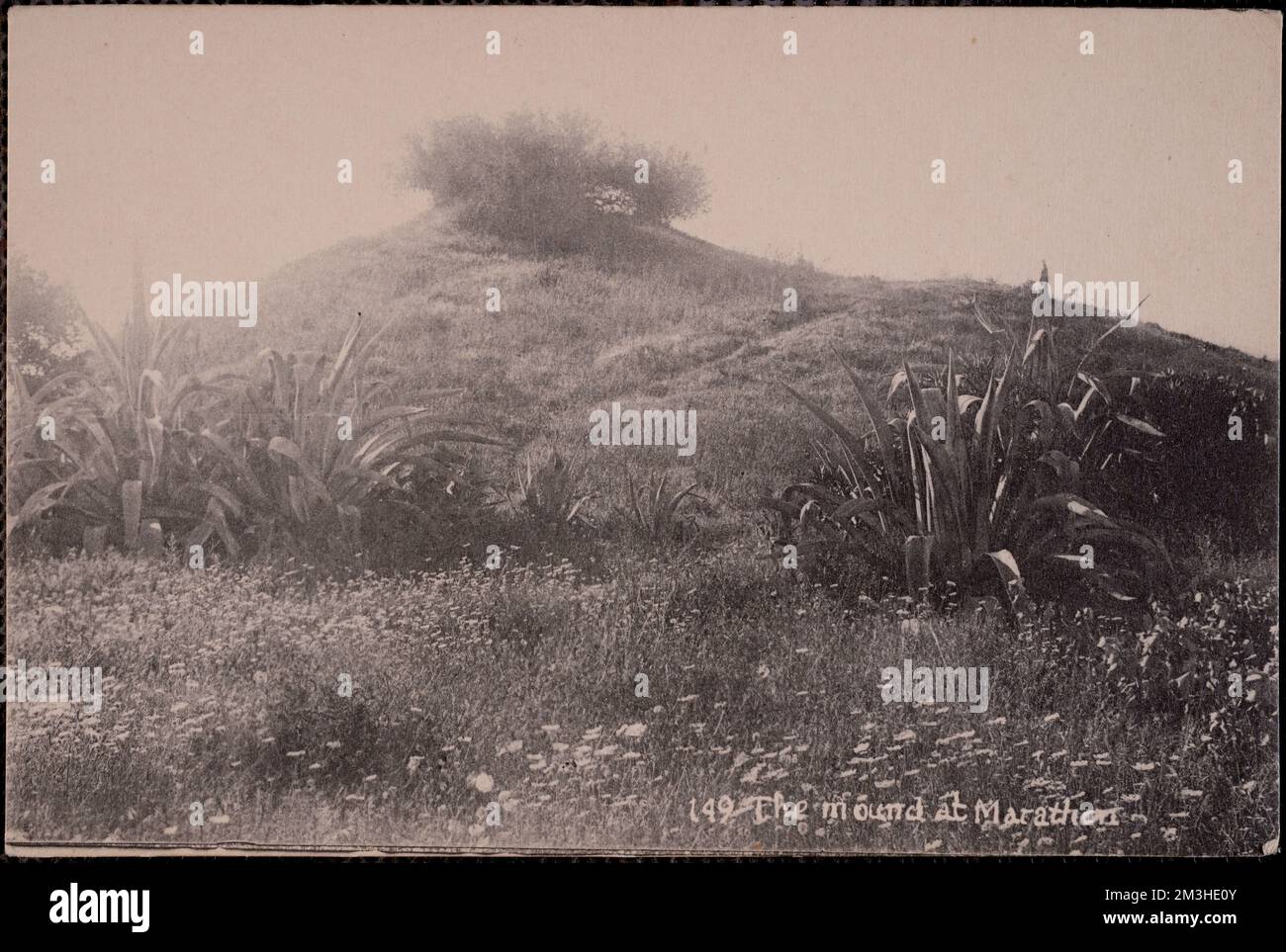 The mount at Marathon , Mounds Burials. Nicholas Catsimpoolas ...