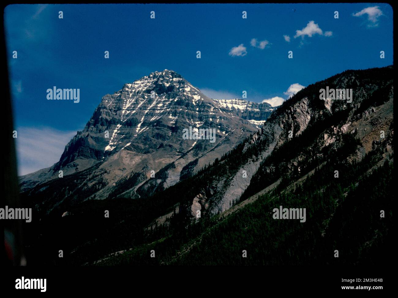 Mount Stephen, Yoho National Park, British Columbia , Mountains, Trees ...