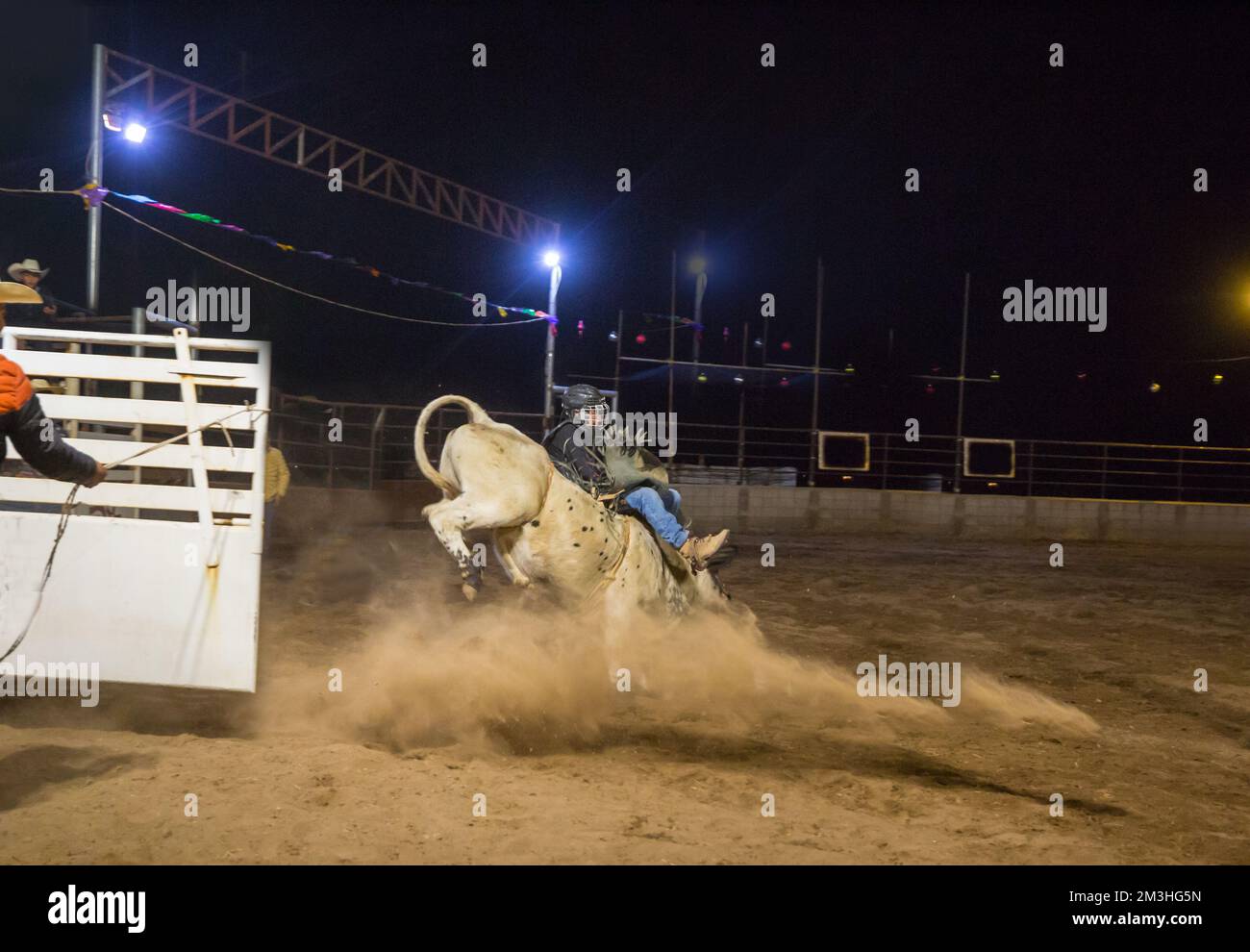 A cowboy competing in a bullriding event at a country rodeo Stock Photo ...