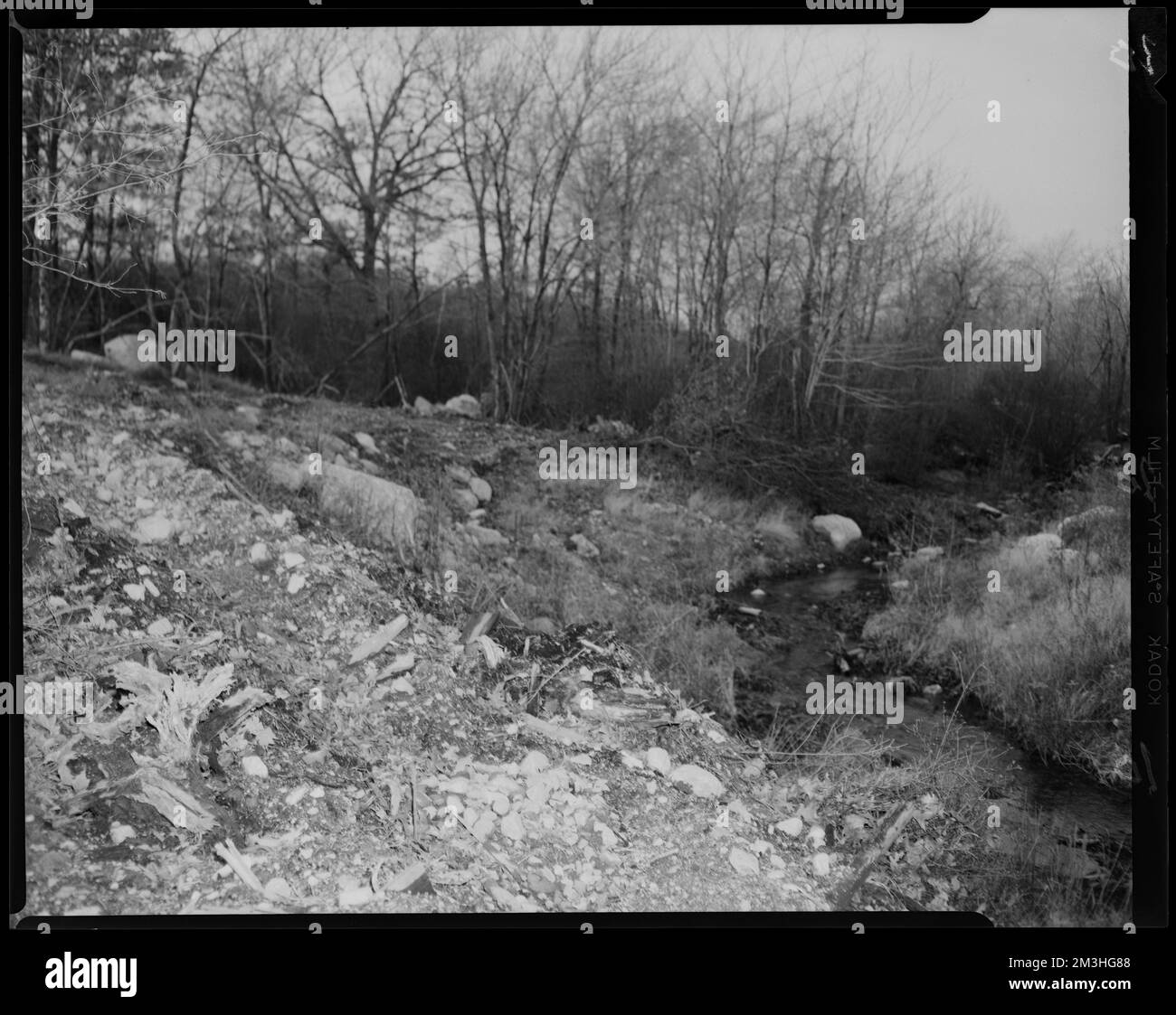 Beverlee hills hi-res stock photography and images - Alamy