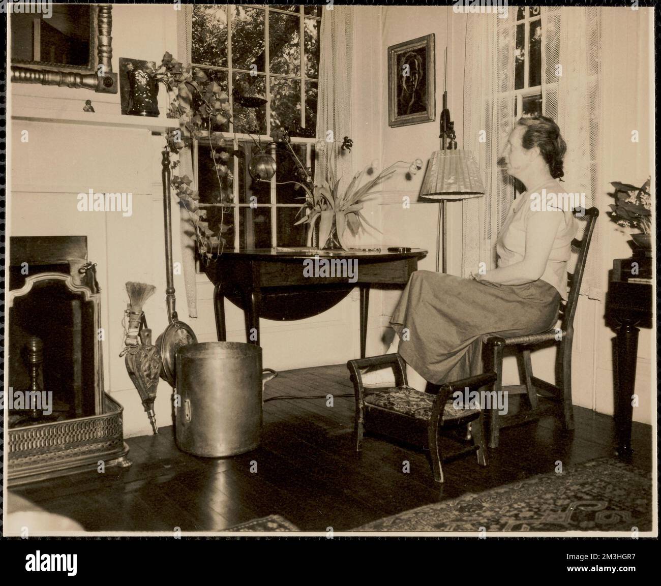 Mrs. Albert Carpenter (Betty C.). Wisteria flowers , Windows, Flowers ...