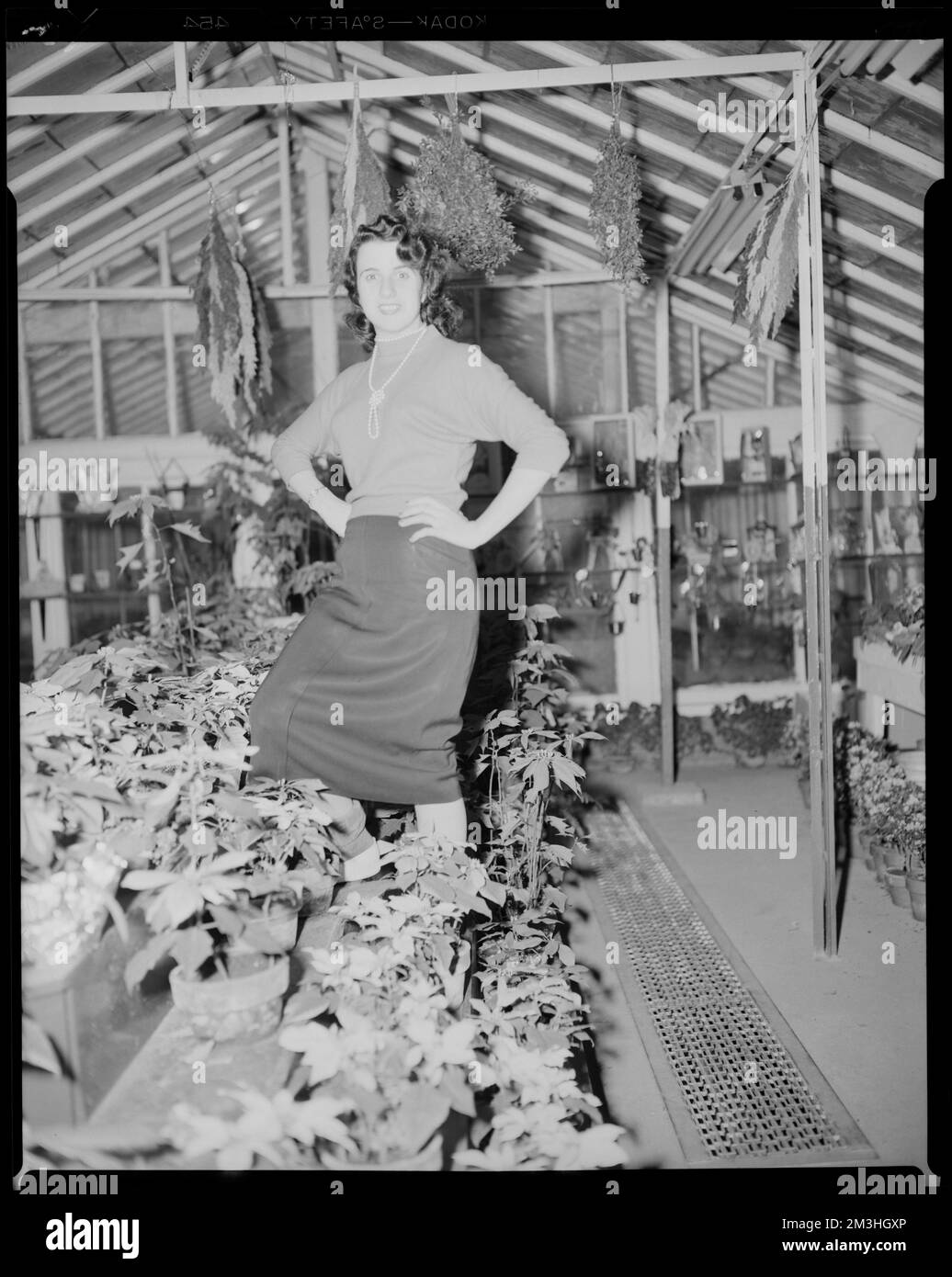 Mrs. Antonio Russo. 611 American Legion Highway , Greenhouses, Plants ...