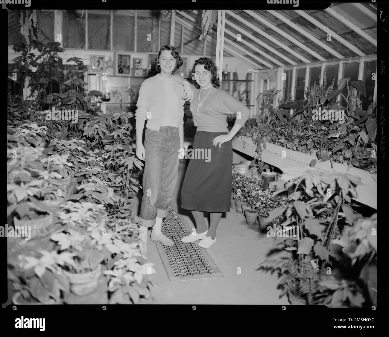 Mrs. Antonio Russo. 611 American Legion Highway , Greenhouses, Plants ...