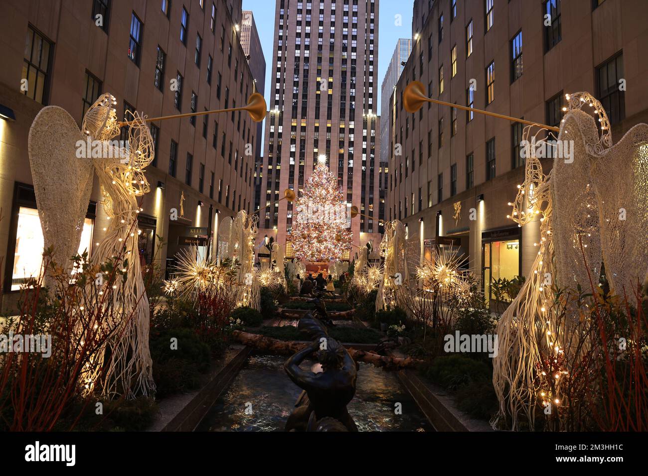 The beautiful Christmas tree on display at a the Rockefeller Center in ...