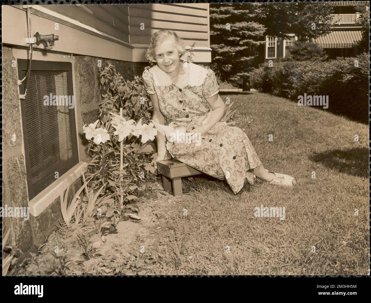 Mrs. Emma B. Hanna. 13 buds, Easter-Lilla , Lilies. Leon Abdalian ...