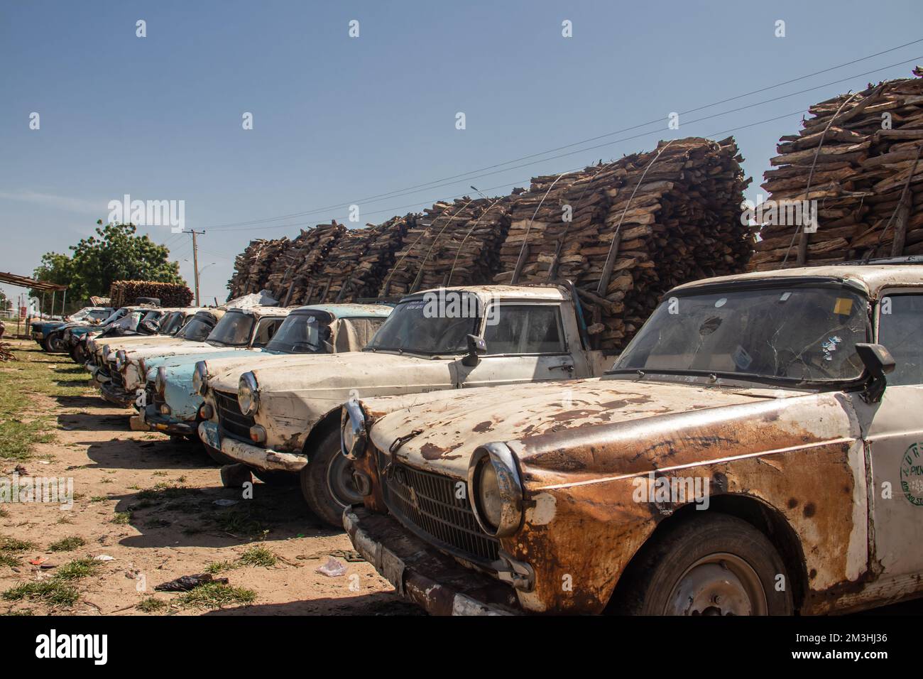 Wooden logs sorted and aligned at open market in Africa, selling timber ...