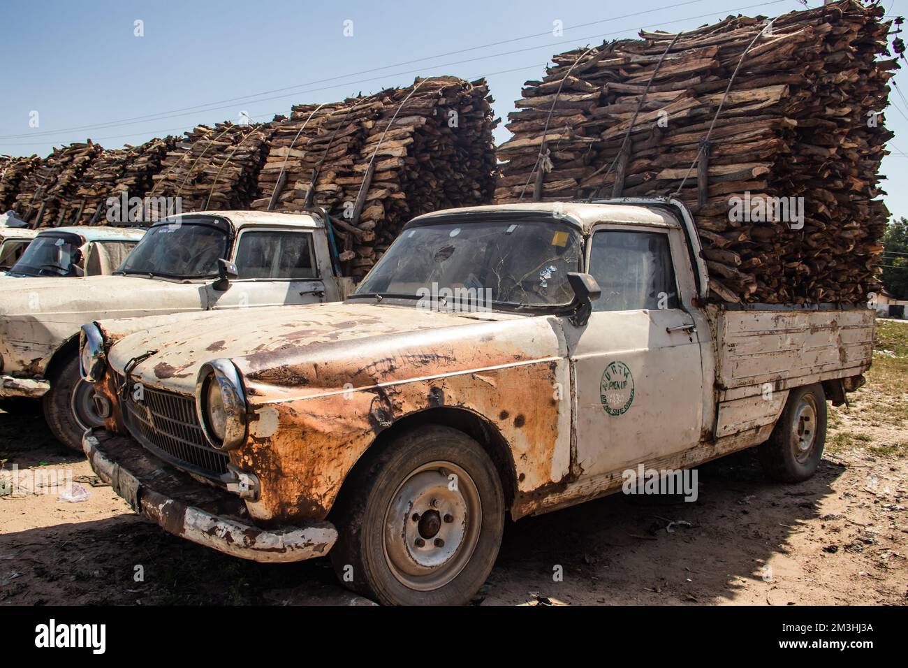 Wooden logs sorted and aligned at open market in Africa, selling timber ...