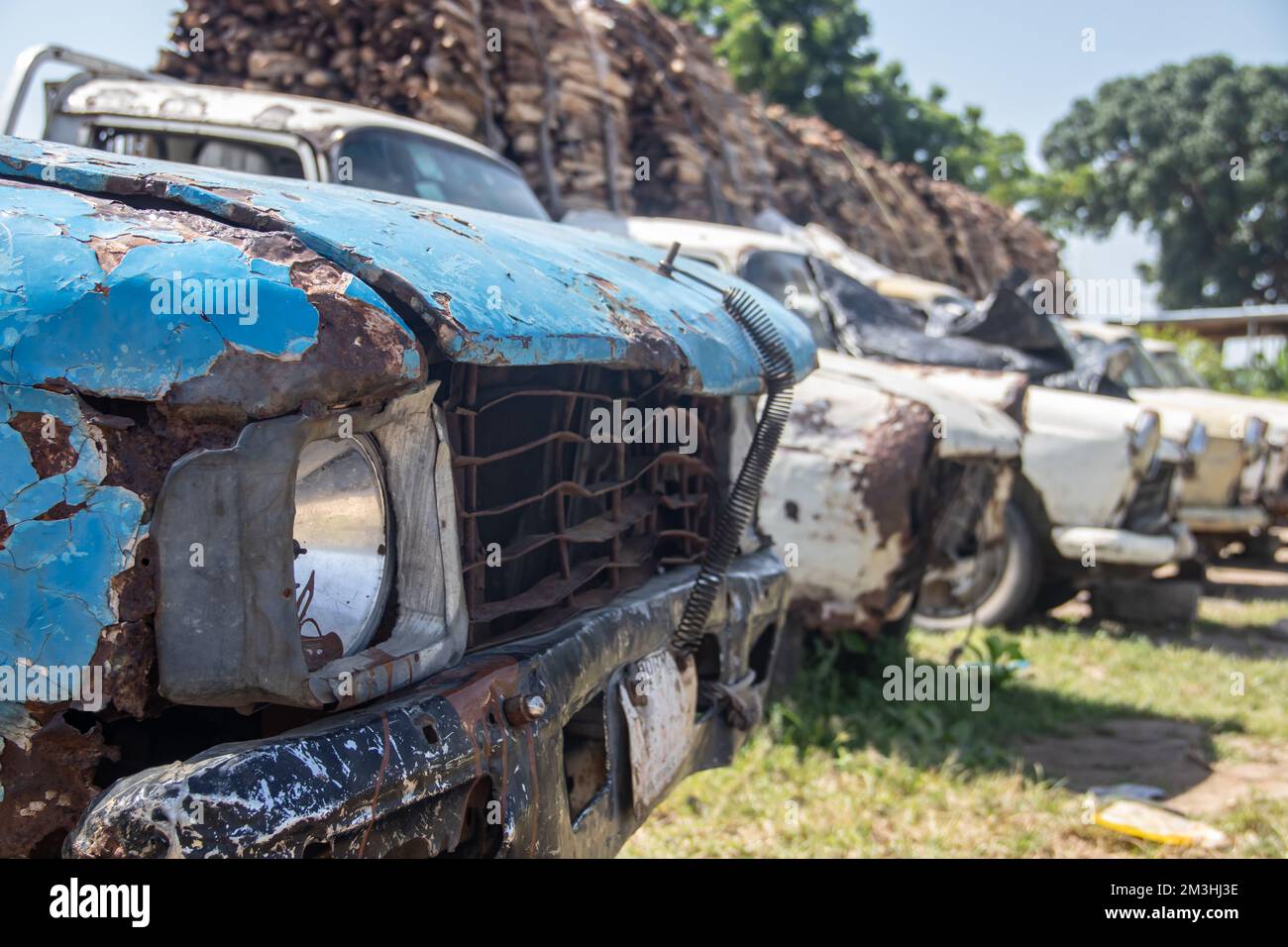 Wooden logs sorted and aligned at open market in Africa, selling timber ...