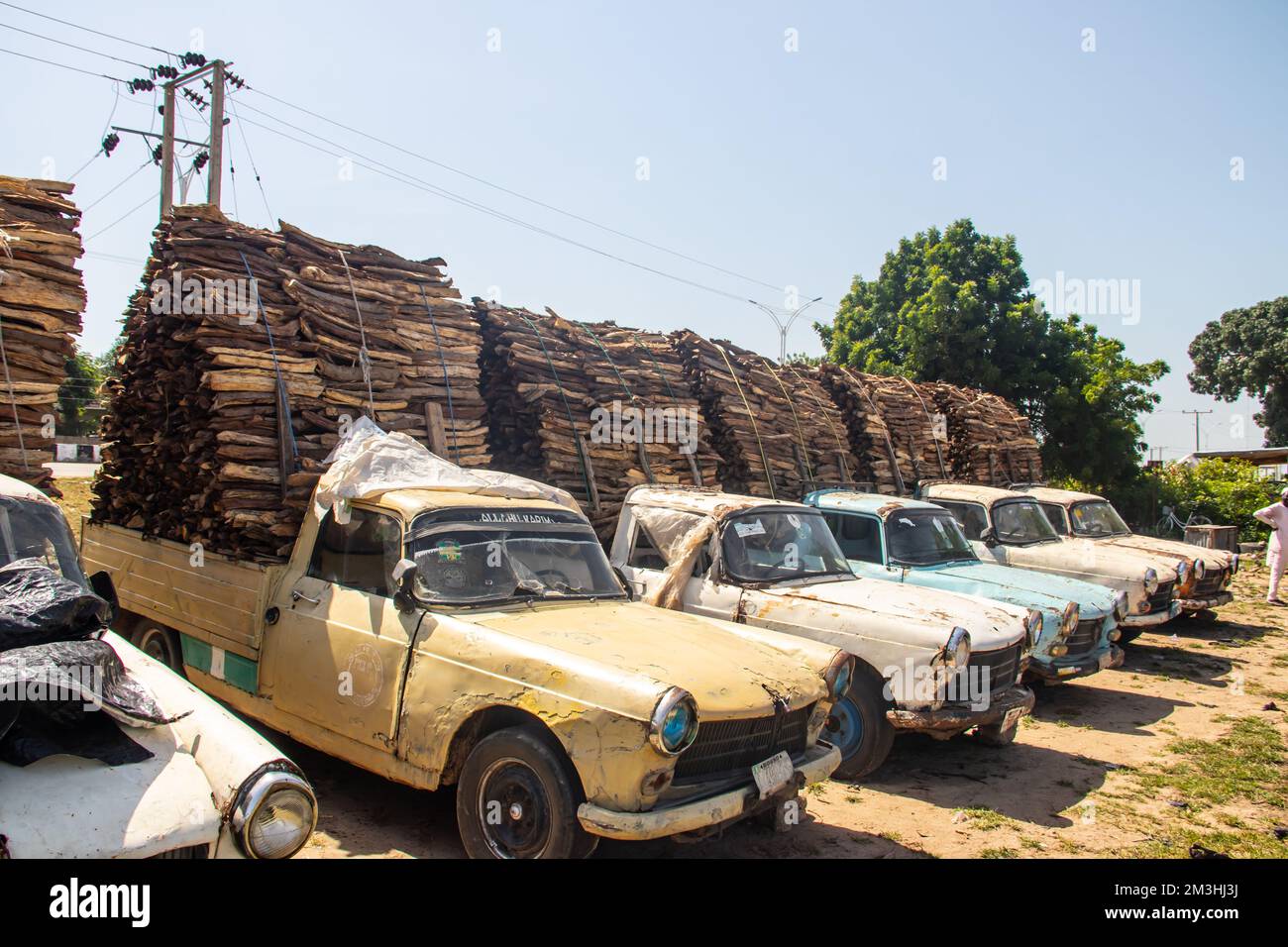 Wooden logs sorted and aligned at open market in Africa, selling timber ...