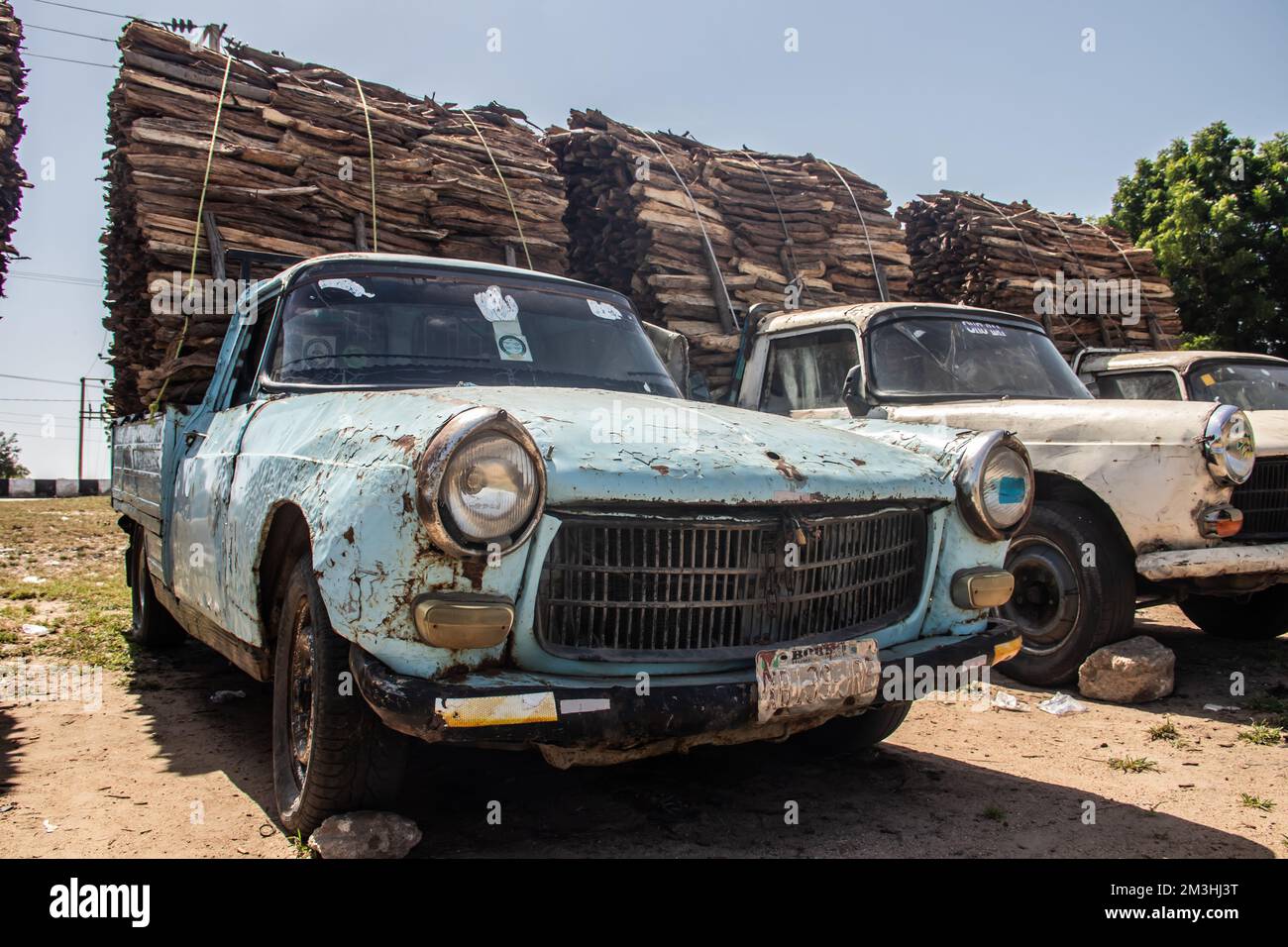 Wooden logs sorted and aligned at open market in Africa, selling timber ...