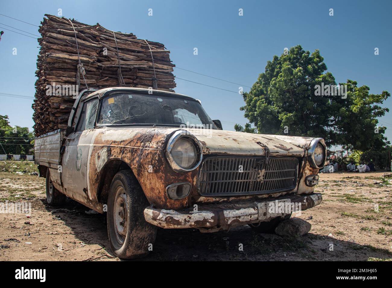 Wooden logs sorted and aligned at open market in Africa, selling timber ...