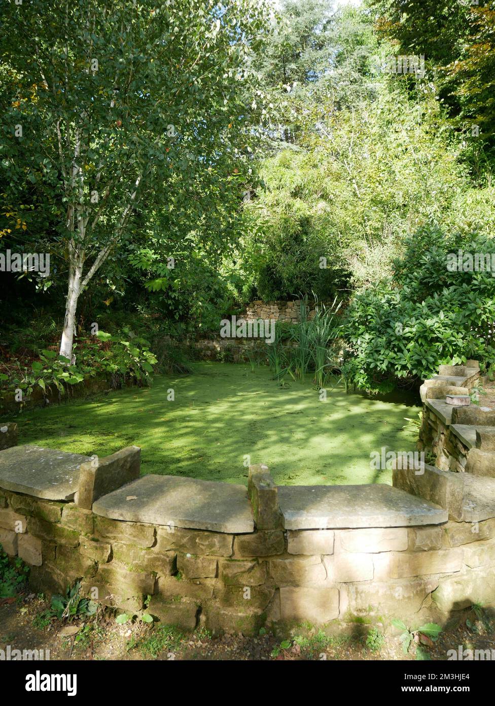 Standen house hi-res stock photography and images - Alamy