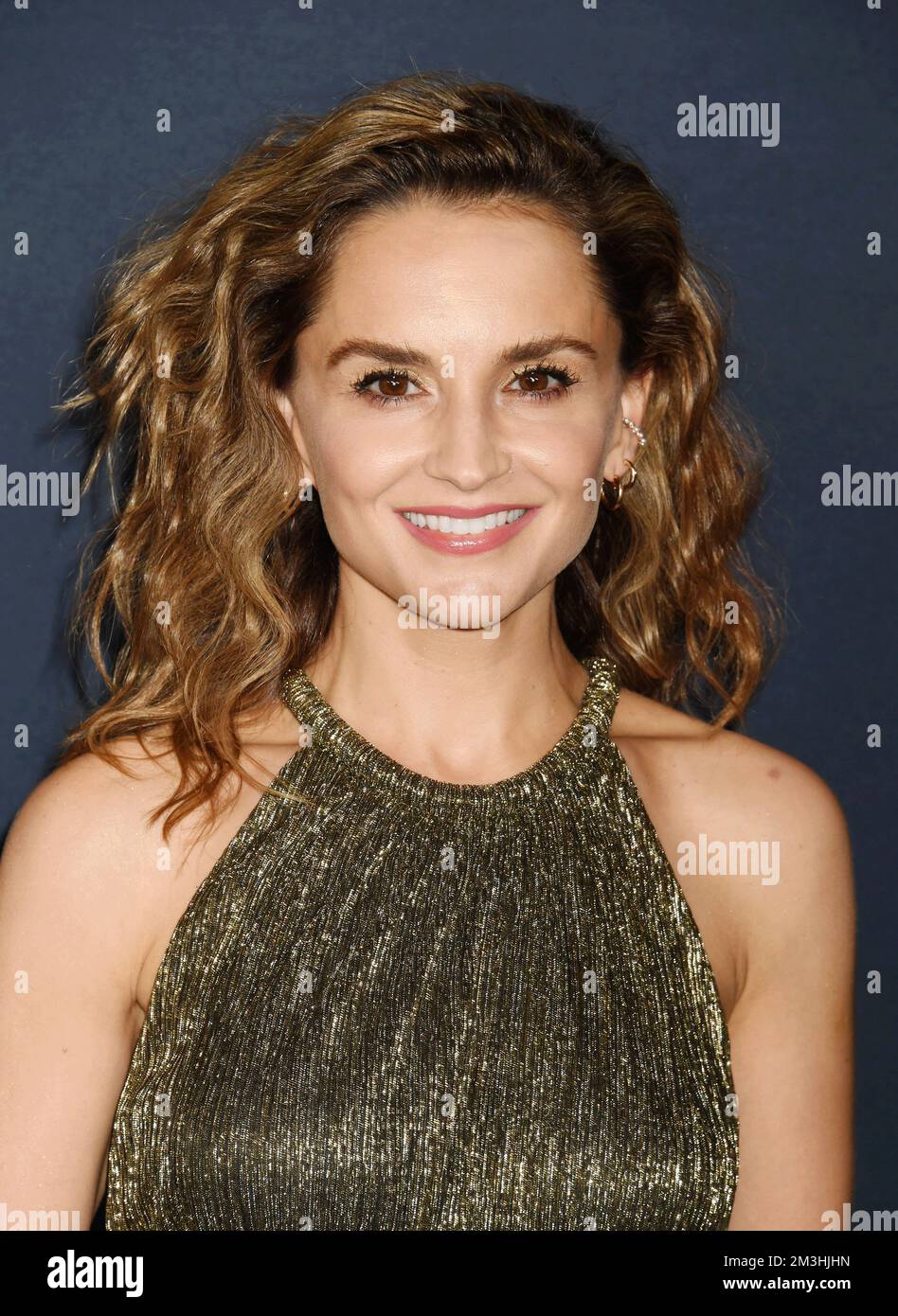 LOS ANGELES, CALIFORNIA - DECEMBER 14: Rachael Leigh Cook attends "The ...