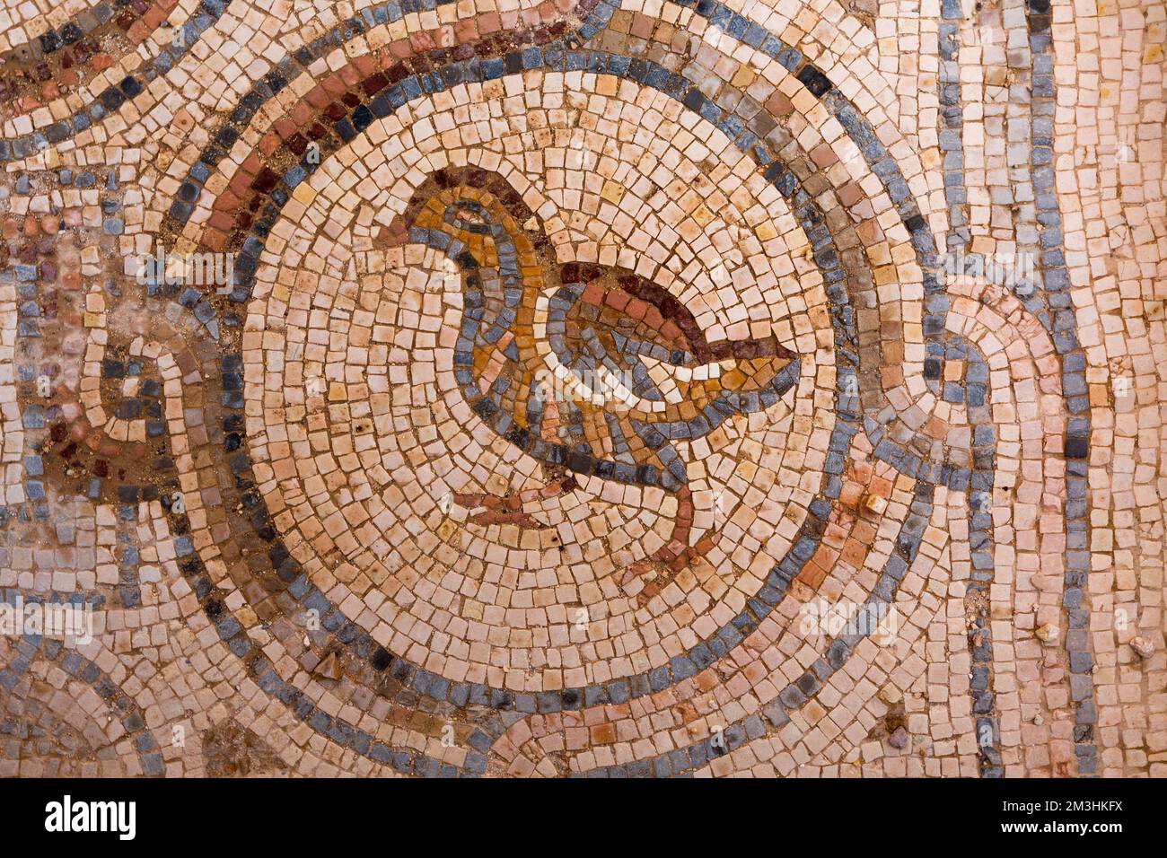 Interior bird mosaic of Qasr Al Hallabat desert castle in Jordan Stock ...
