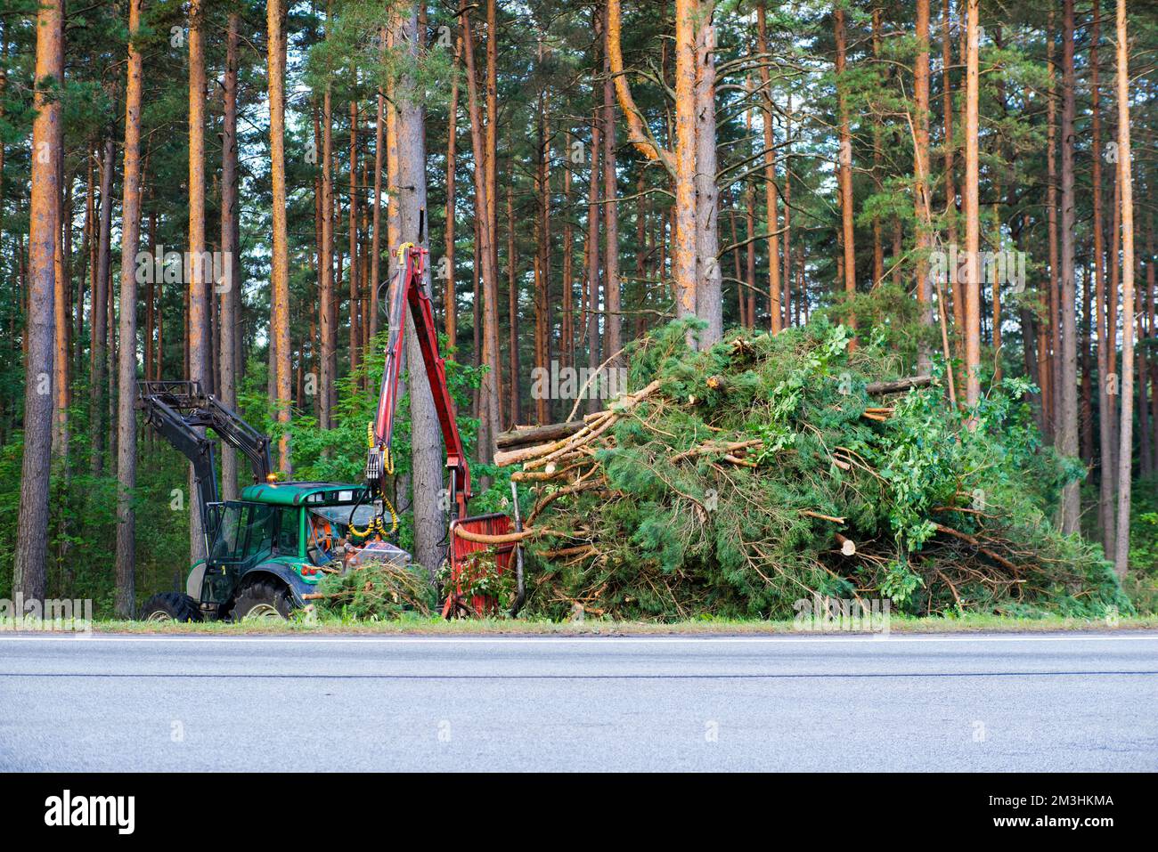 Bulldozer removes trees hi-res stock photography and images - Alamy