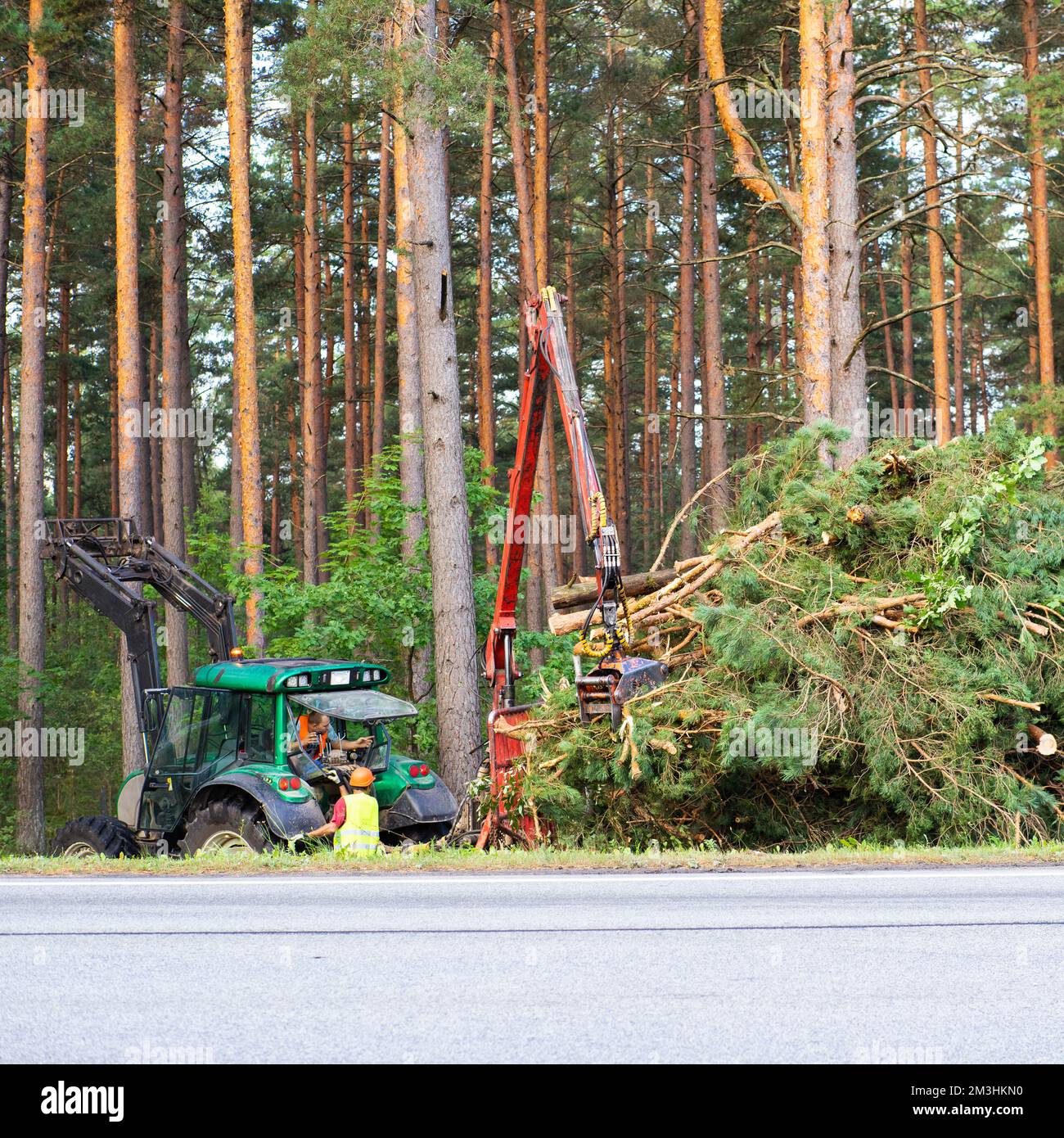 Tractor near road removes a sawn trees. Heavy equipment Stock Photo - Alamy