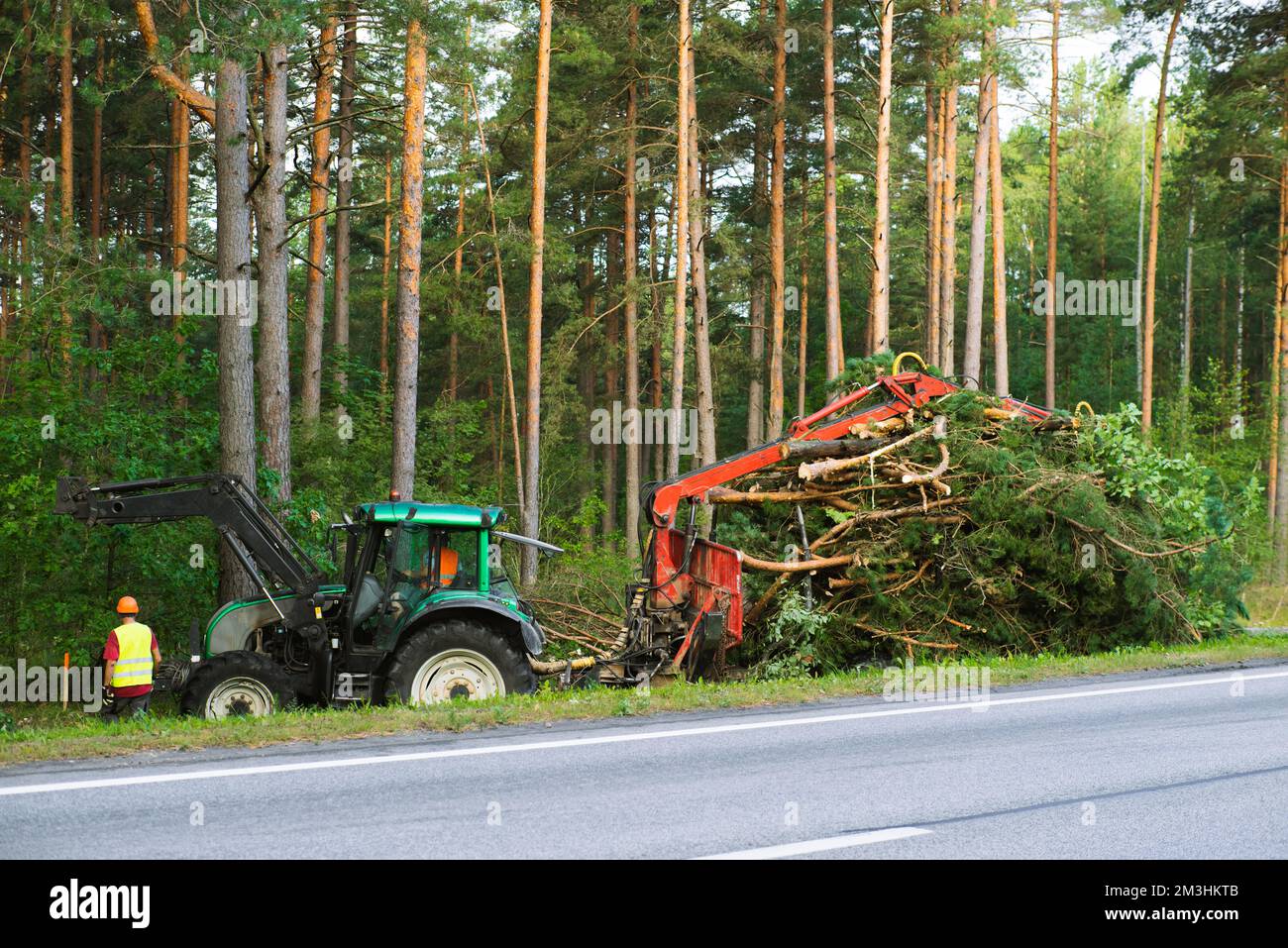 Bulldozer removes trees hi-res stock photography and images - Alamy