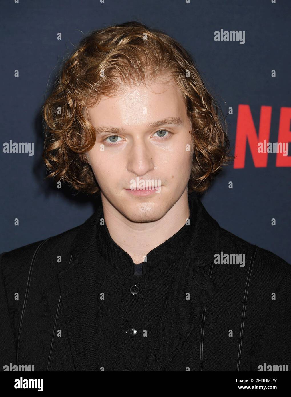 Los Angeles, California, USA. 14th Dec, 2022. Fred Hechinger attends ...