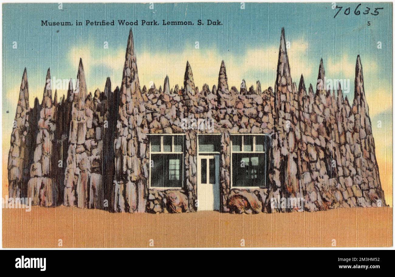 Museum in Petrified Wood Park, Lemmon, S. Dak. , Galleries & museums ...