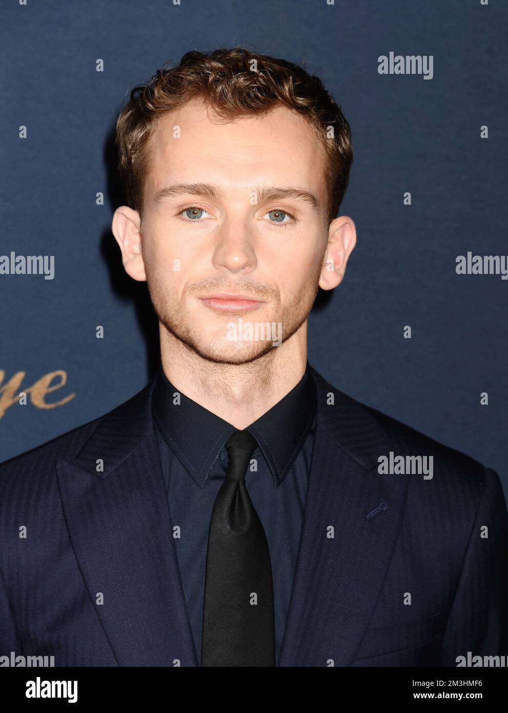 Los Angeles, California, USA. 14th Dec, 2022. Harry Lawtey attends "The ...