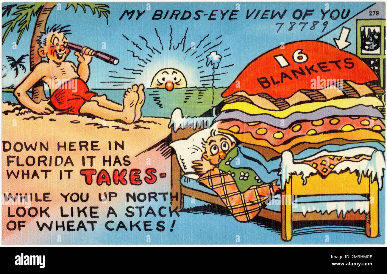 Warm climate birds Cut Out Stock Images & Pictures - Alamy