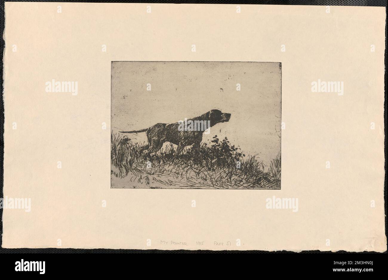 W pointer hi-res stock photography and images - Alamy